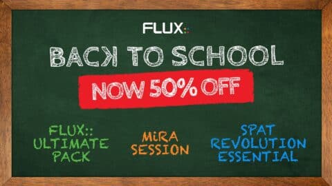 Dynamic processing - FLUX:: Immersive